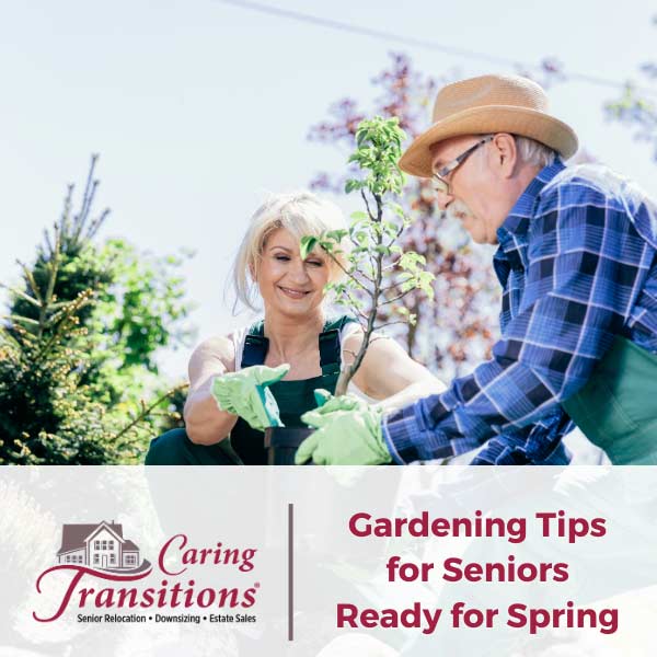 Gardening Tips for Seniors Ready for Spring | Caring Transitions