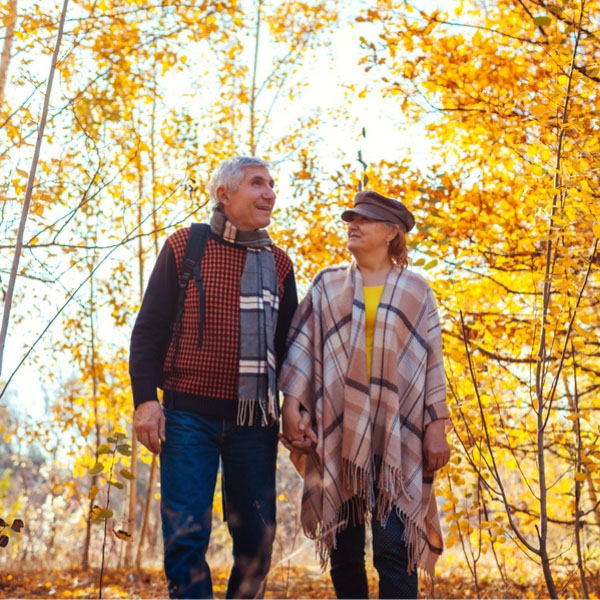 Make A Fresh Fall Look For Your Home with Antiques from Across the ...